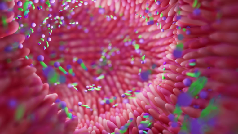 O papel da microbiota intestinal na saúde digestiva – Academia da Nutrição